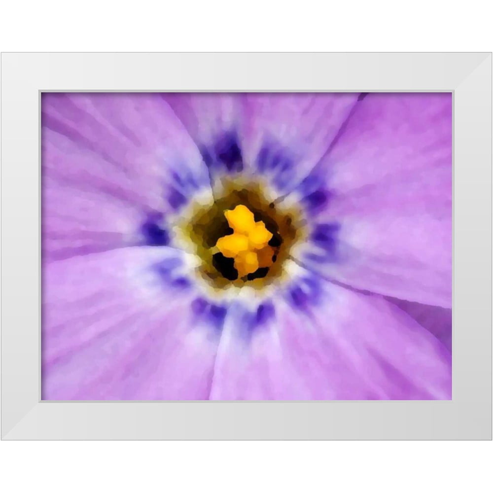 Kirkland, Dennis 24x19 White Modern Wood Framed Museum Art Print Titled ...