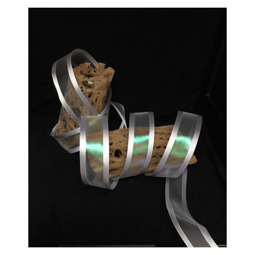 Kirkland Signature Wire-Edged Polyester Ribbon, 1.5 x 50Y, Style ...