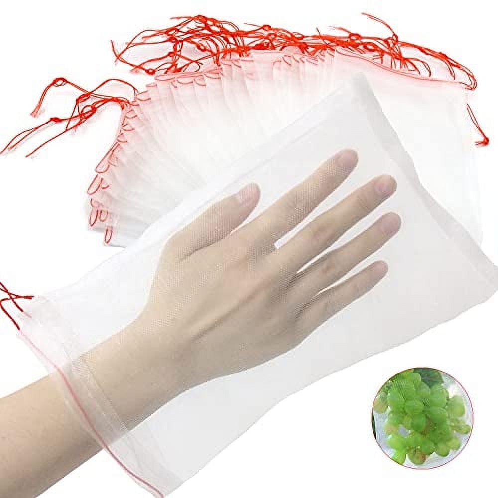 KissDate 100 Pcs Fruit Protection Bags, 10"x6" Insects Mosquito Bug Net ...