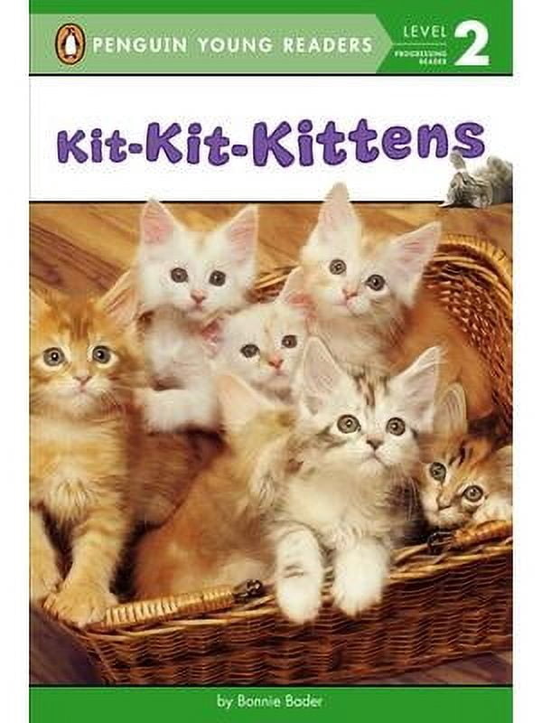 Kit-Kit-Kittens - Walmart.com