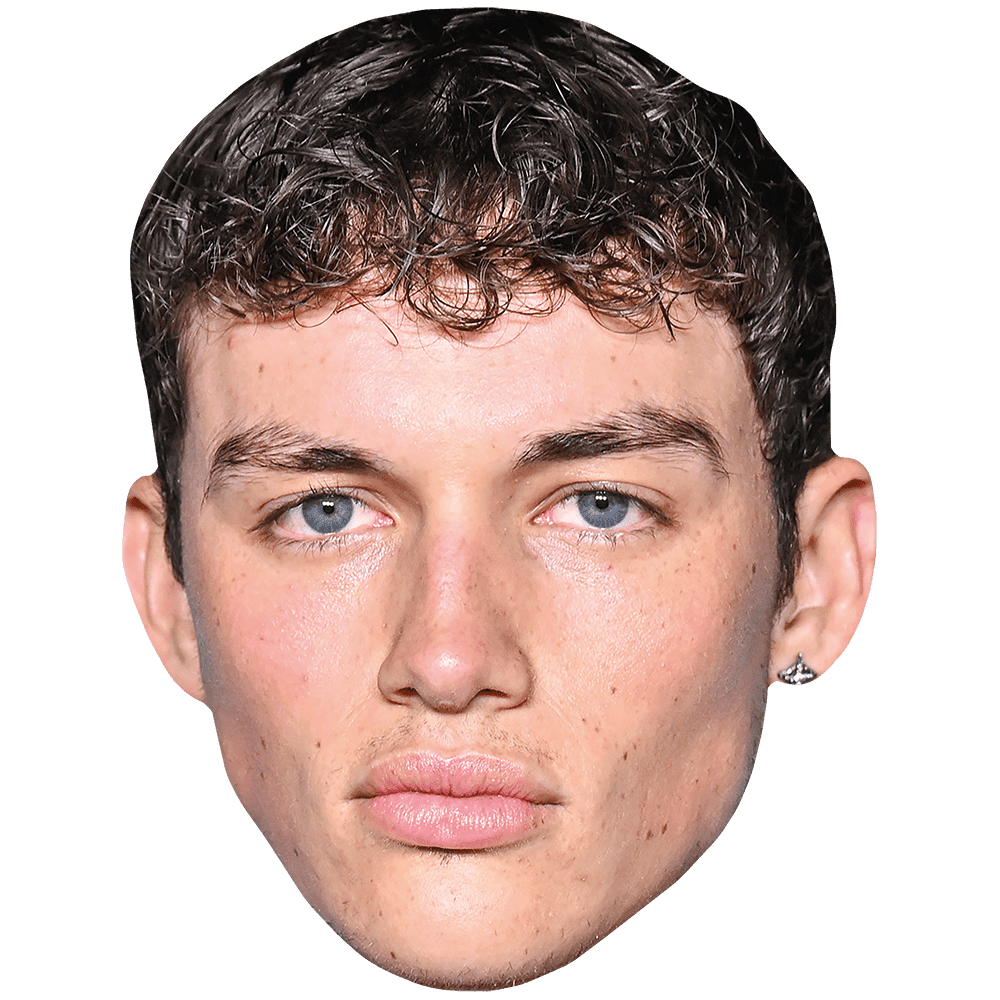 Kit Price (Pout) Celebrity Mask, Flat Card Face, Fancy Dress Mask ...