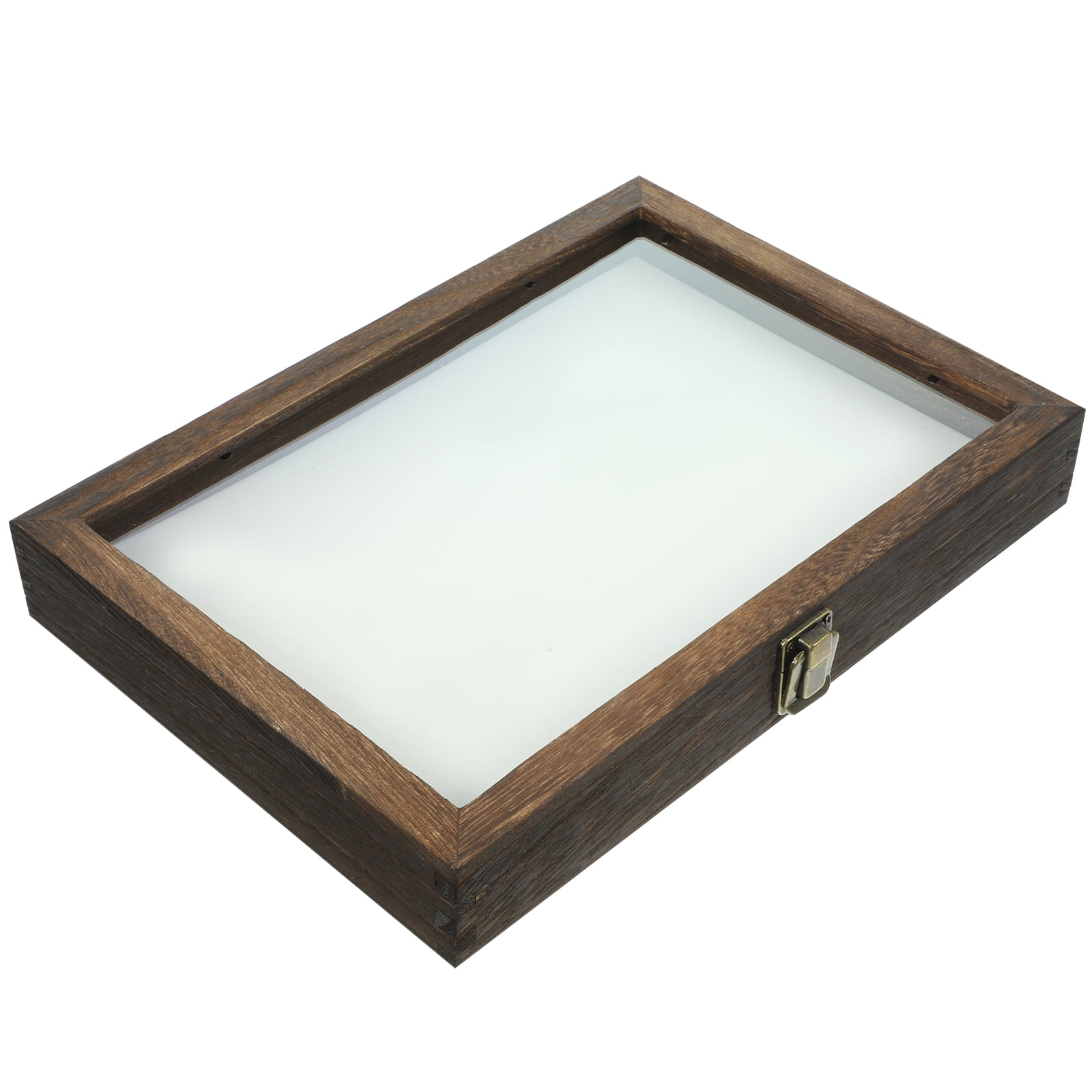 Kit Viewer Insect Specimen Box Butterfly Display Case - Walmart.com