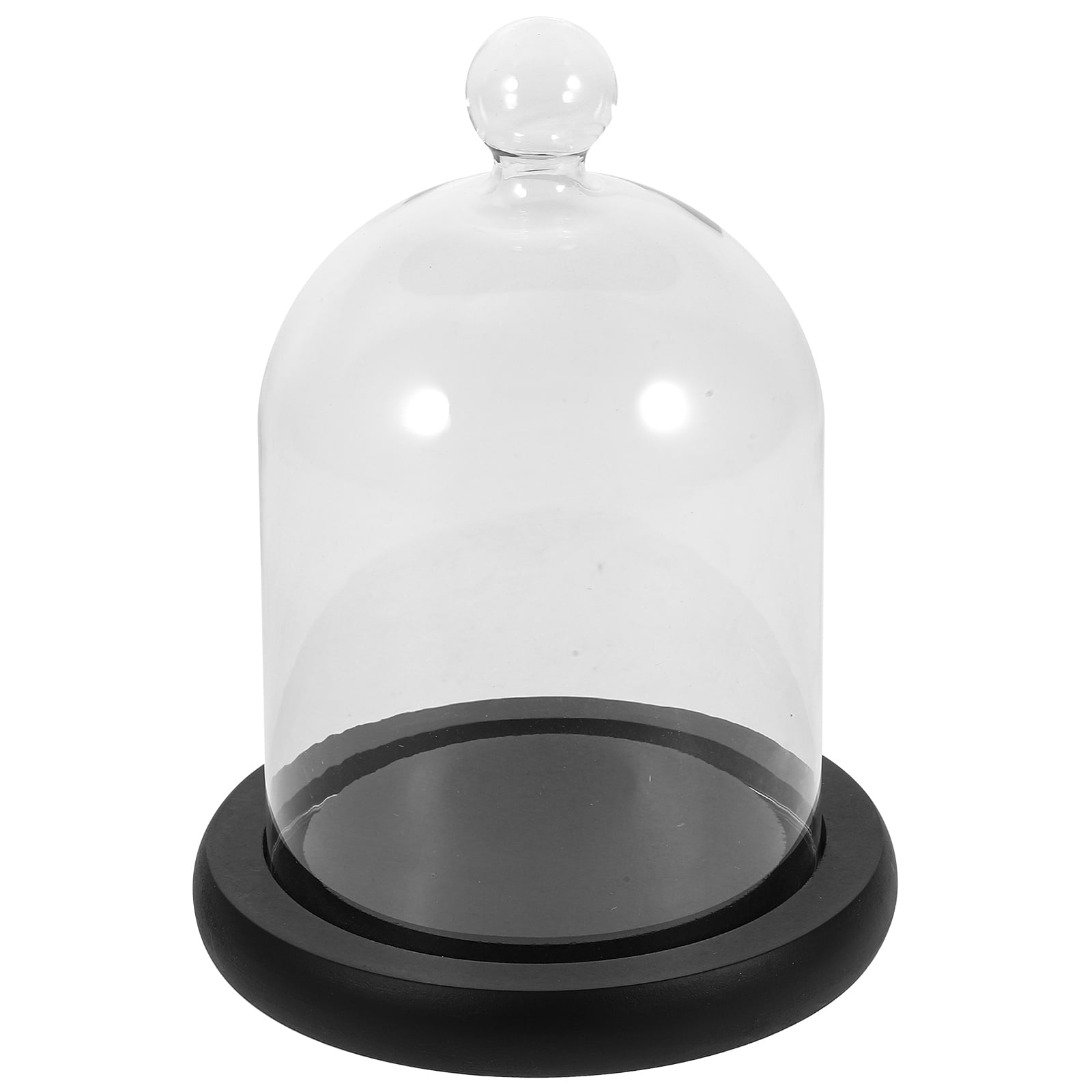 Kitandove Glass Cover Micro Landscape Cake Eternal Life Flower Glass ...