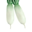 Kitazawa Seed Company 140-Count Korean Radish Seeds, Non-GMO Hybrid, 1g ...
