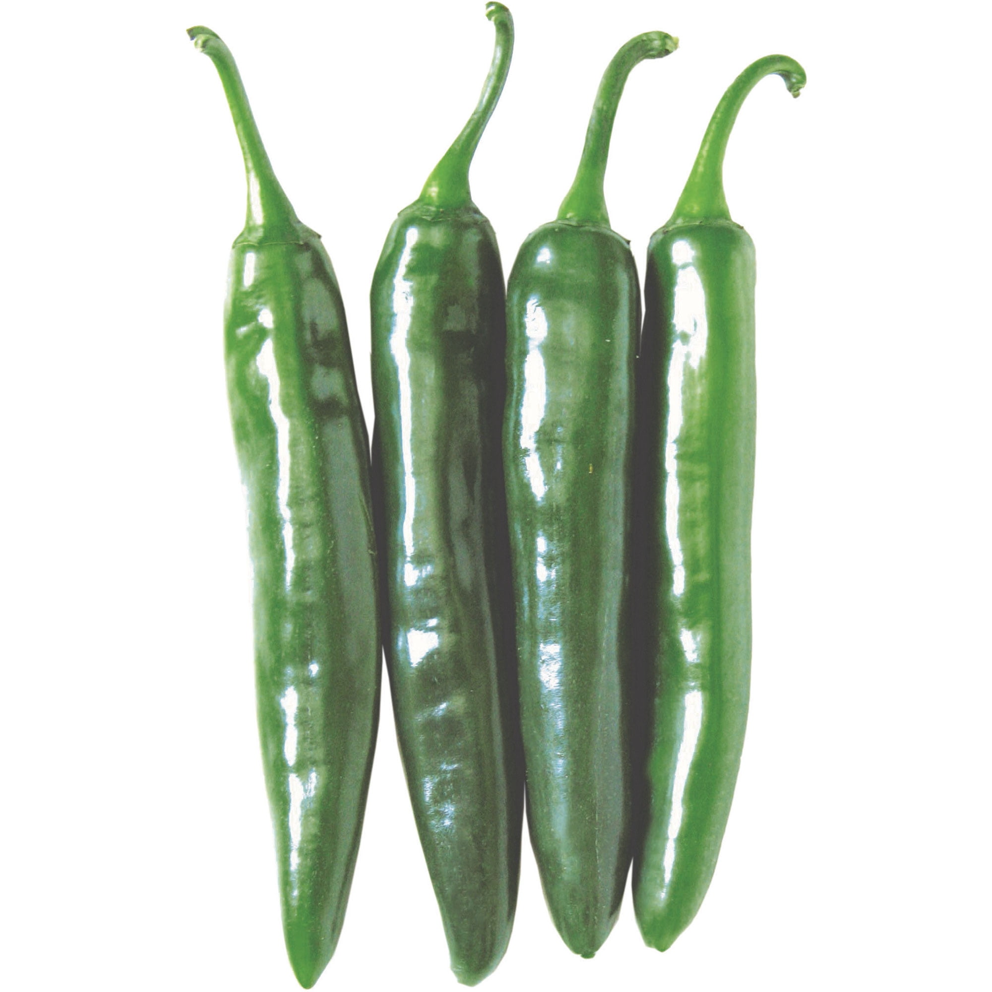 Kitazawa Seed Company Green Pepper Plant Seeds, GMO Free - Walmart.com