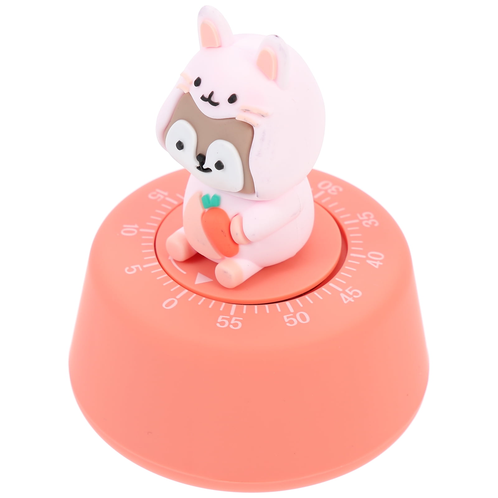 Kitchen Countdown Programmable Alarm Clock for Kids Office Battery ...