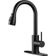 Kitchen Faucet with Pull-Down Spray Single Handle high arc Commercial ...