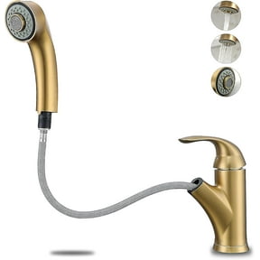 Moen 7622 Cia 1.5 GPM Single Hole Pull Down Kitchen Faucet - Gold ...