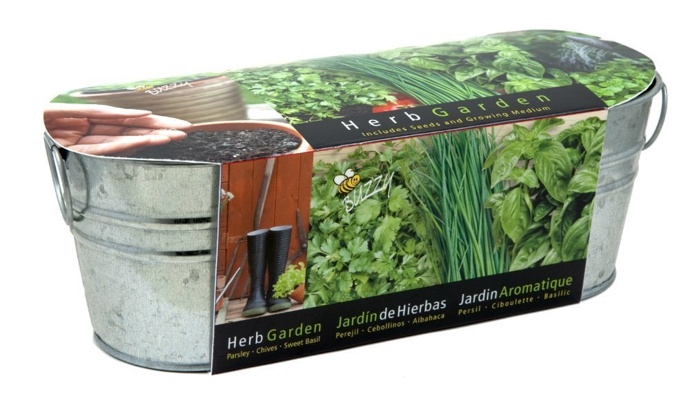 Kitchen Herb Windowsill Grow Kit, Buzzy, 94330 - Walmart.com