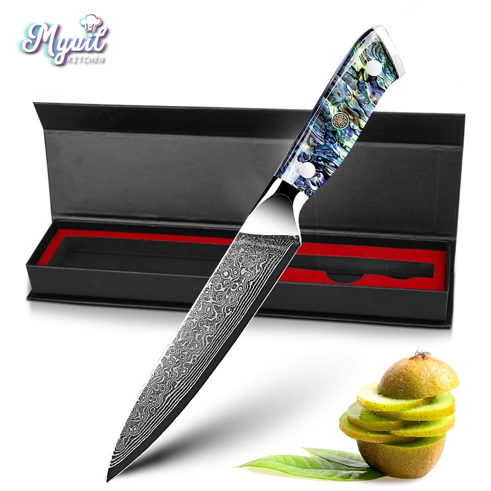 Kitchen Knife Damascus Steel Knife VG10 67 Layers Japanese Chef Knives ...