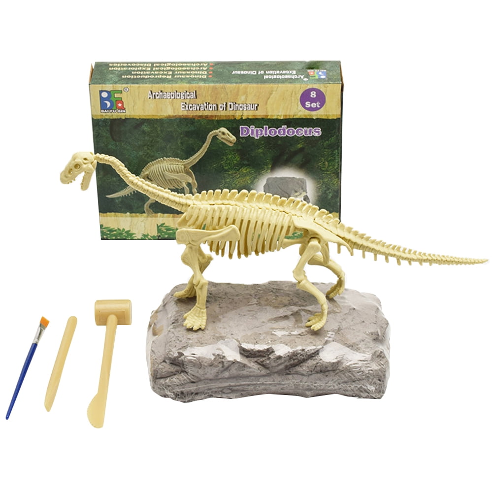 Kitem Dinosaur Fossil Skeleton Excavation Dig up Kit DIY Assembly ...