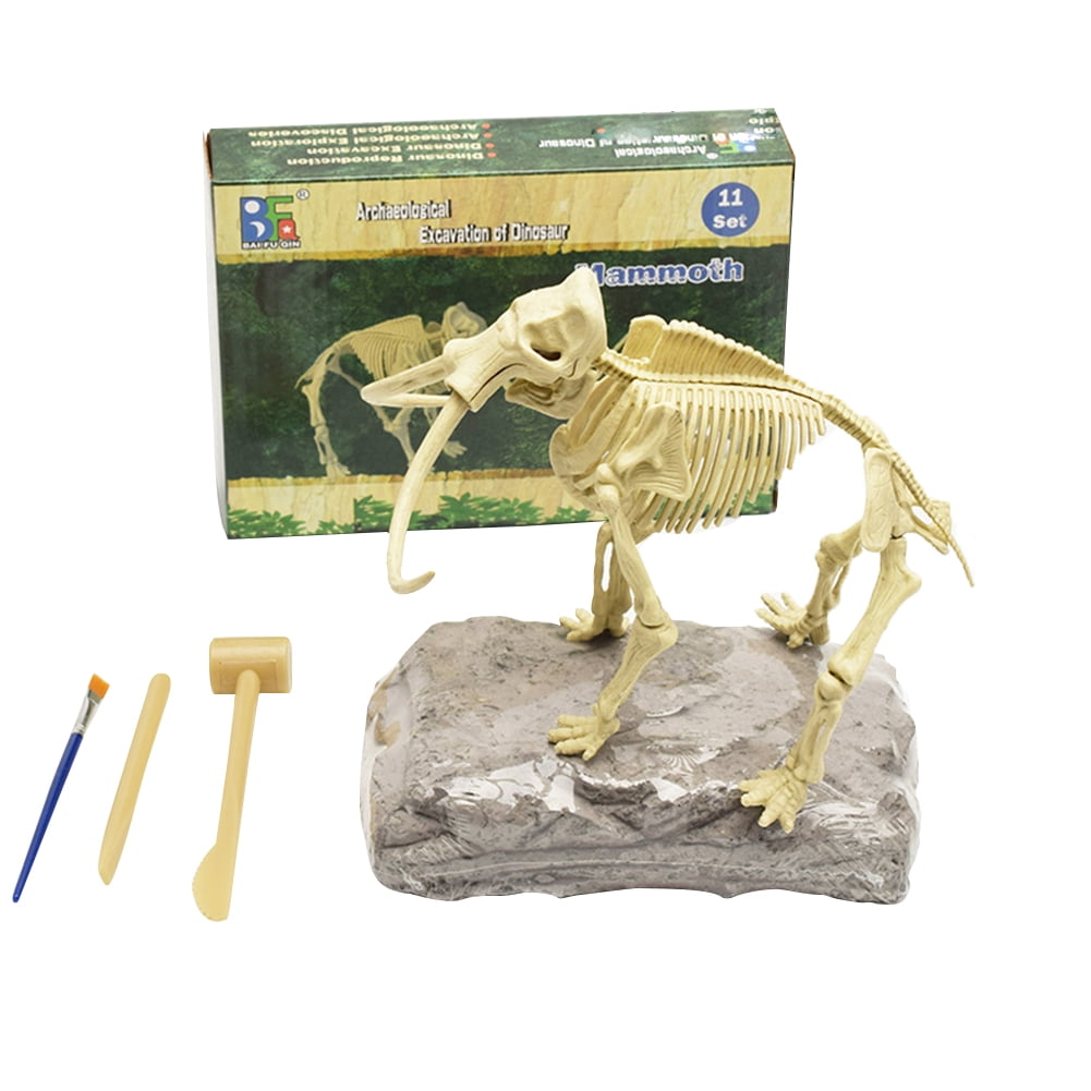 Kitem Dinosaur Fossil Skeleton Excavation Dig up Kit DIY Assembly ...