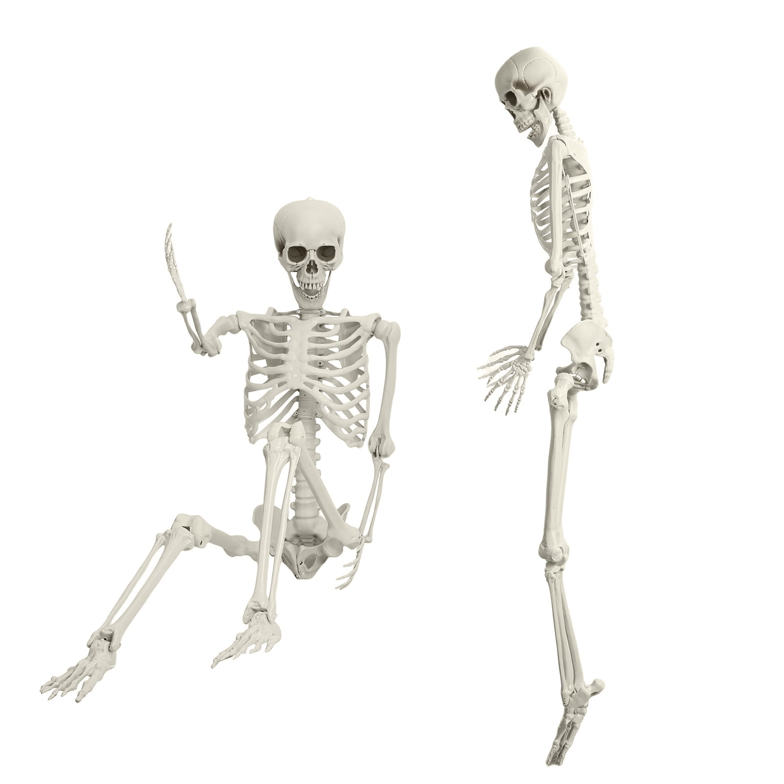 Kitem Halloween Full Body Skeletons, 1 Pcs Poseable Life Size Skeletons ...