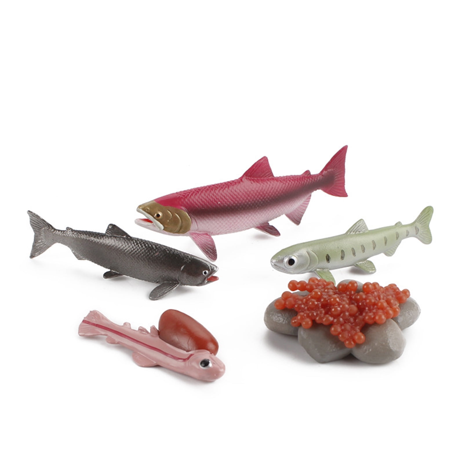 Kitem Model Toy Simulation Animal Design Early Educational Plastic ...