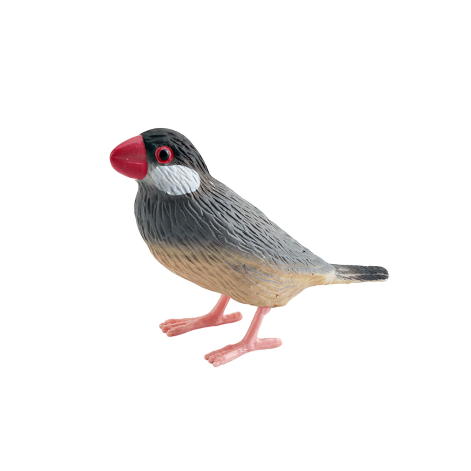 Kitem Realistic Bird Figurine Roadrunner Mannikin Hummingbird Robin ...