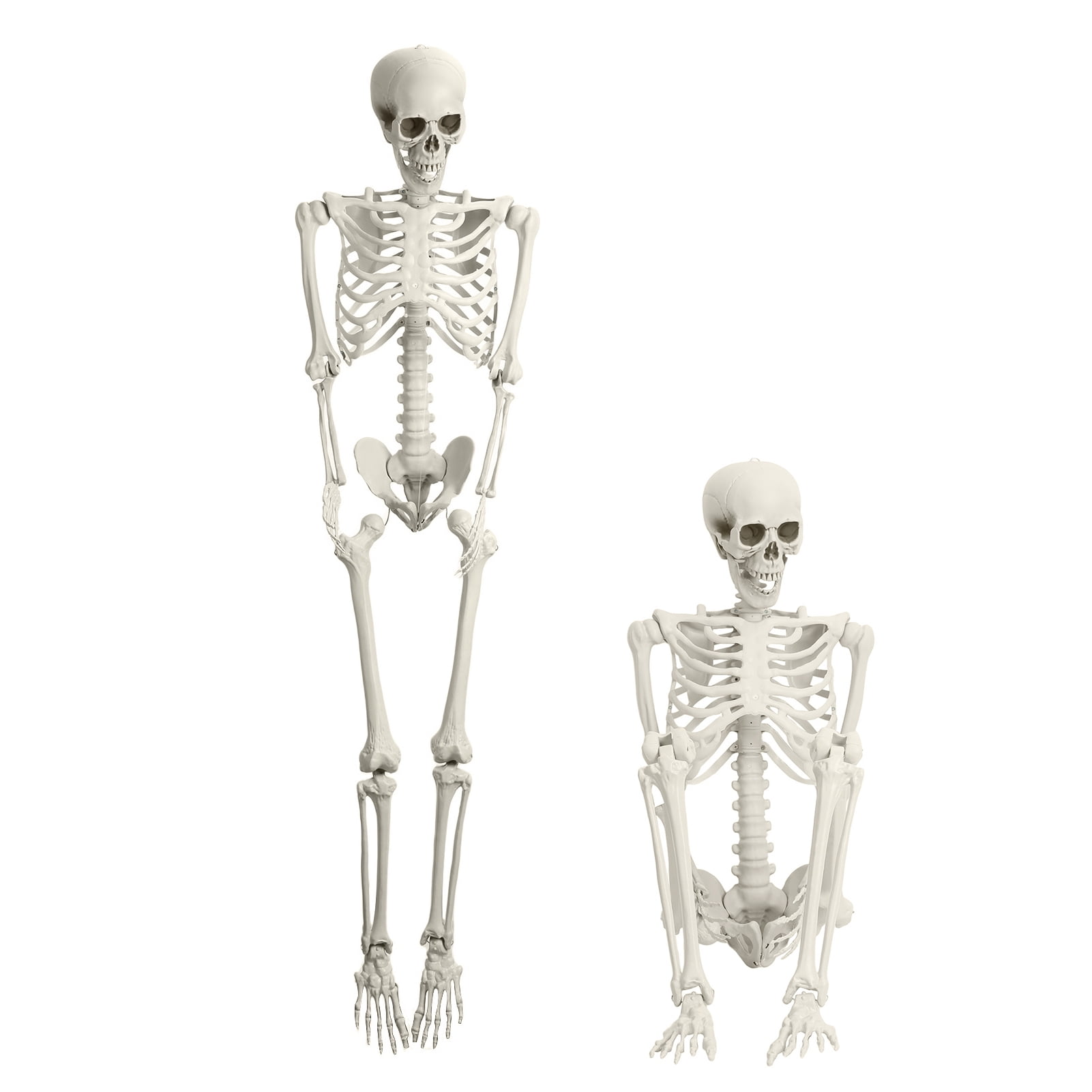 Kitem Skeleton Prop 5.4ft Poseable Life Size Halloween Decoration ...