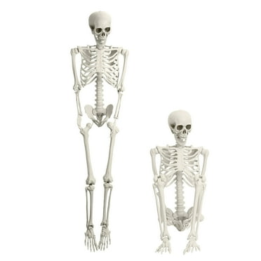 2pc-1.3ft/40cm Life-Size Posable Skeleton Halloween Decoration - Full ...