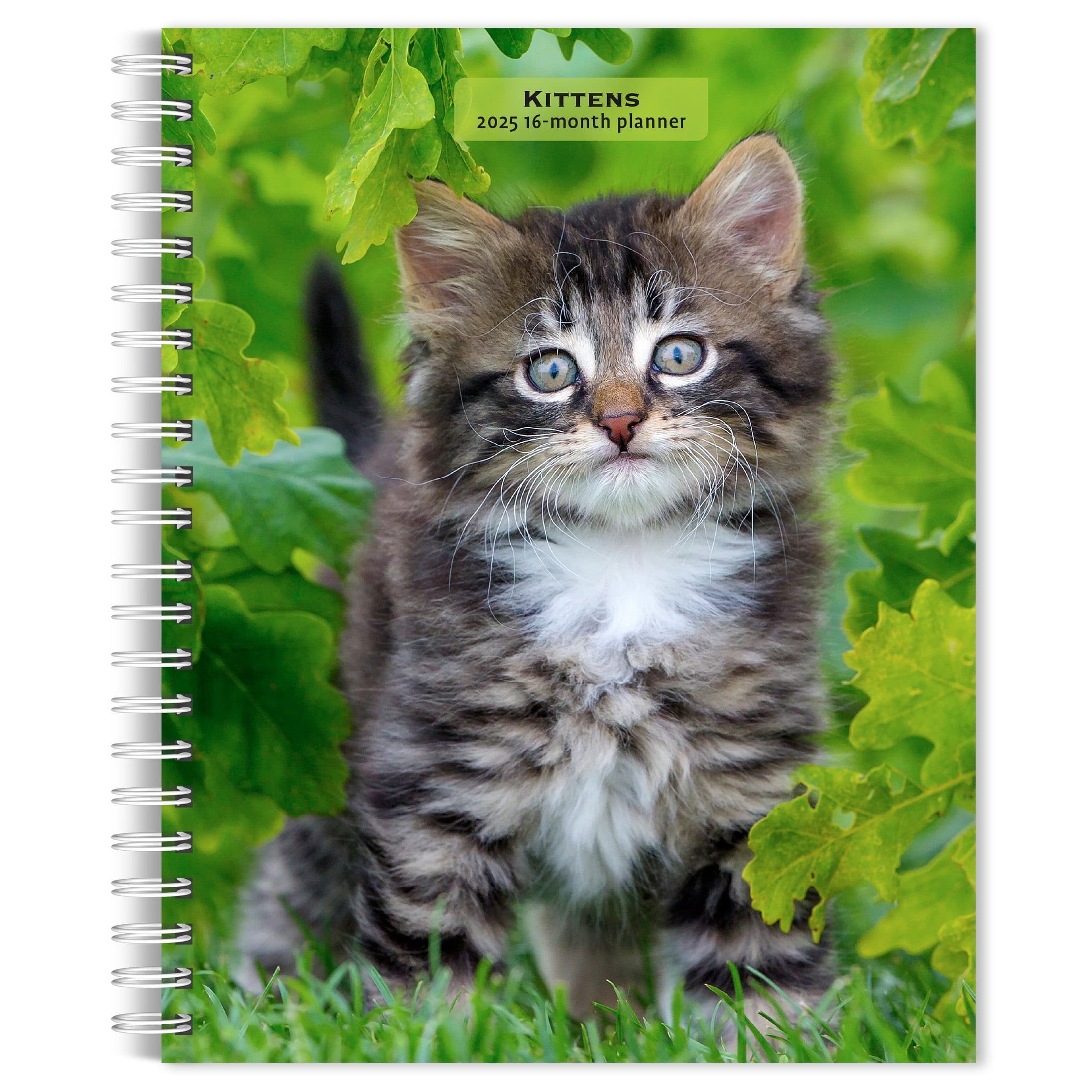 Kittens | 2025 6x7.75" Spiral-Bound Engagement Planner Calendar ...