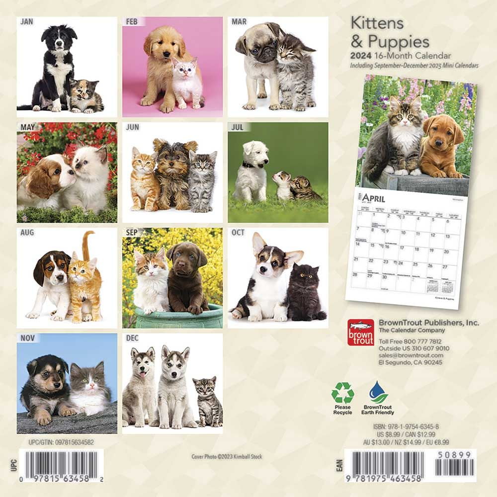 Kittens & Puppies | 2024 7x14" (Hanging) Mini Wall Calendar ...
