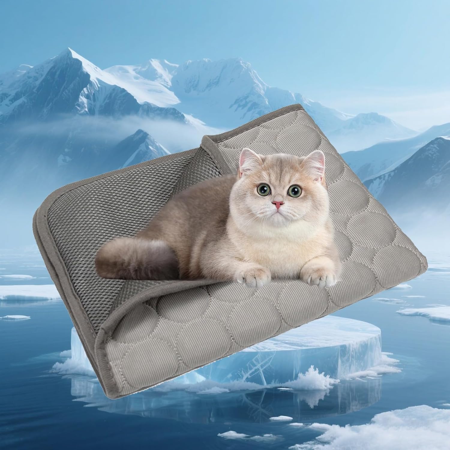 Kittra Cat Cooling Mat A Cool And Healthy Cat Cooling Bed Washable Kittra Cat Cooling Mat A Cool And Healthy Cat Cooling Bed Washable
