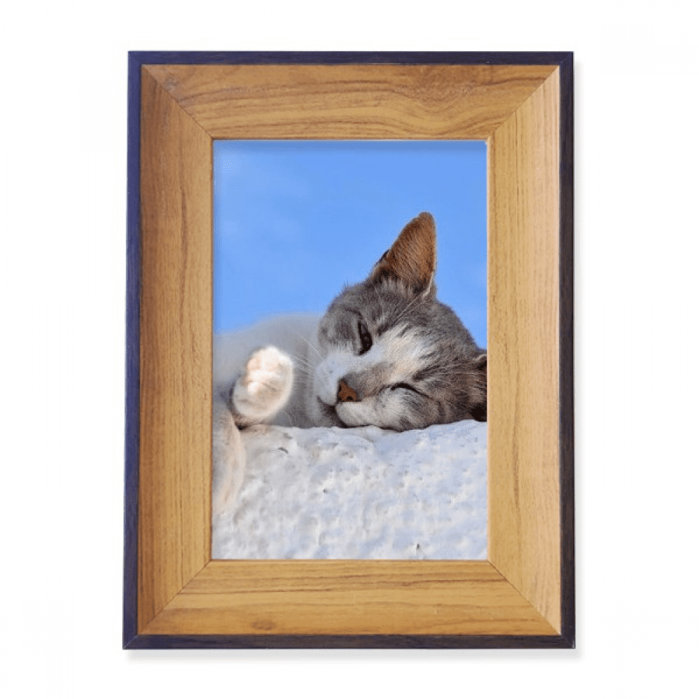 Kitty Cat Pet Relax Sleep Animal Adorable Photo Frame Exhibition ...