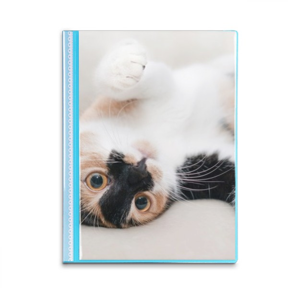 Kitty Cat Stripes Relax Sleep Animal Book Sheet Protectors Portfolio ...