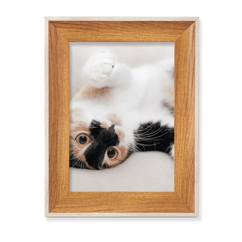 Kitty Cat Stripes Relax Sleep Animal Desktop Wooden Photo Frame Display ...