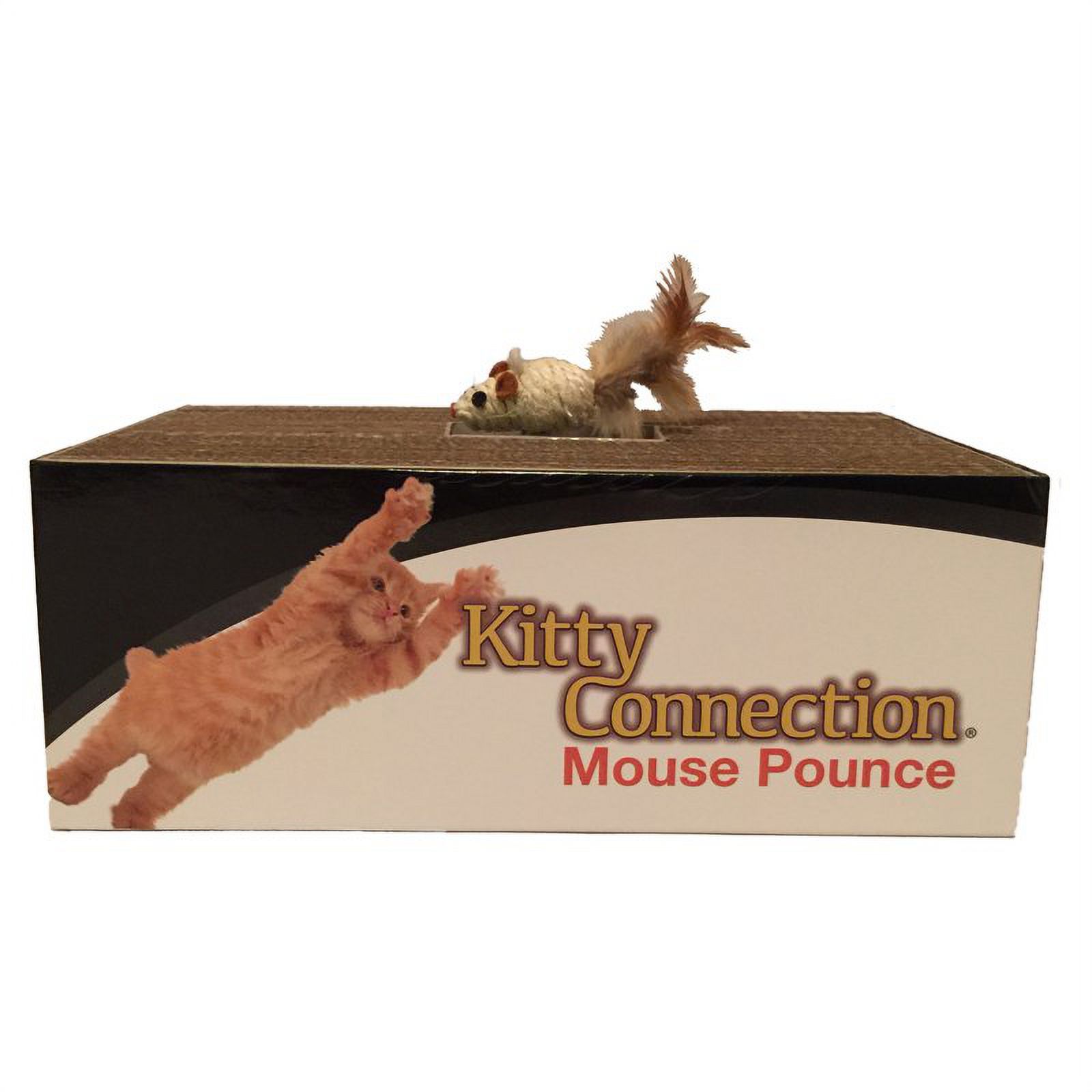Kitty Connection Mouse Pounce Inside Corrugated Box with Sisal ...