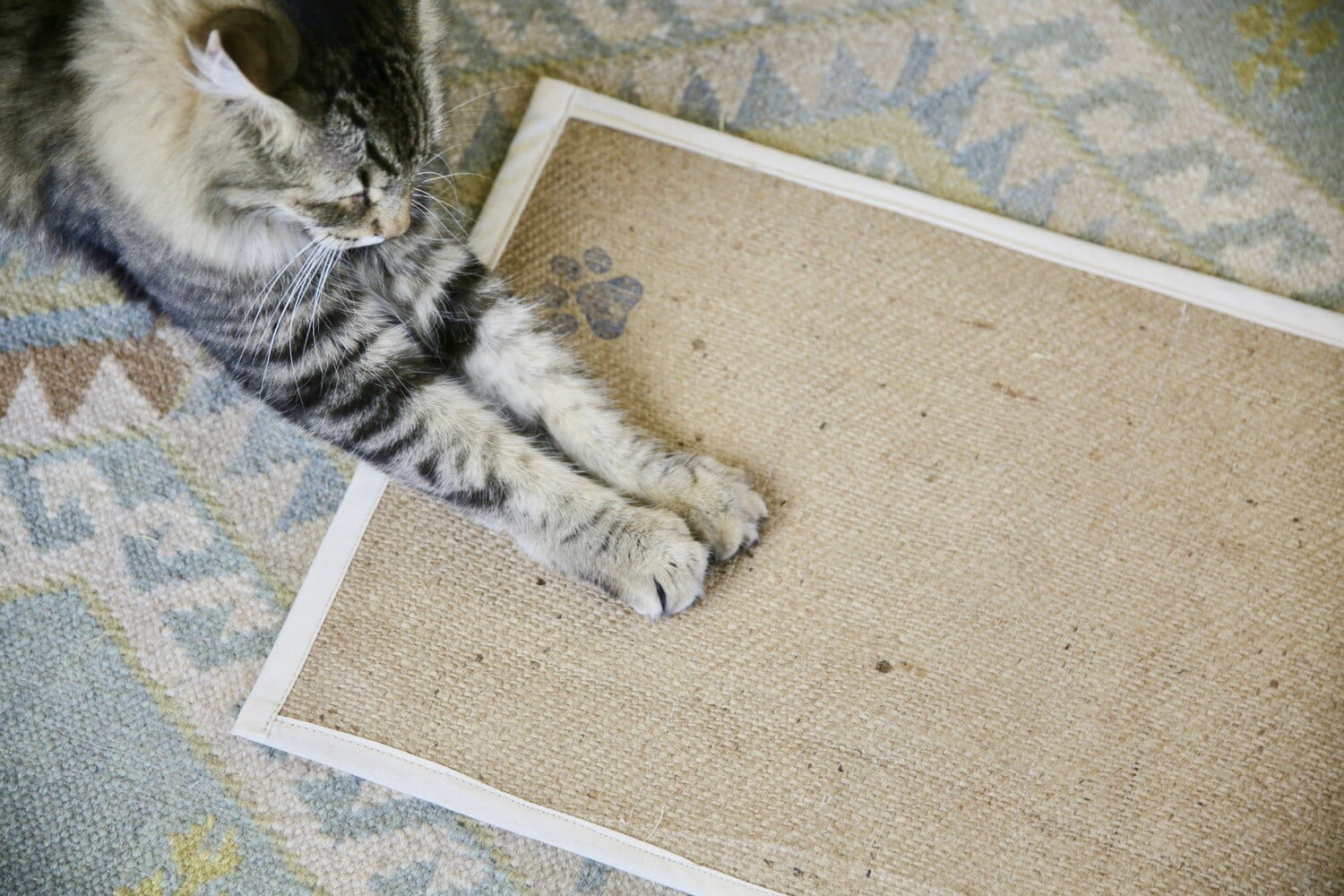 Kitty Cure Cat Mat - Walmart.com