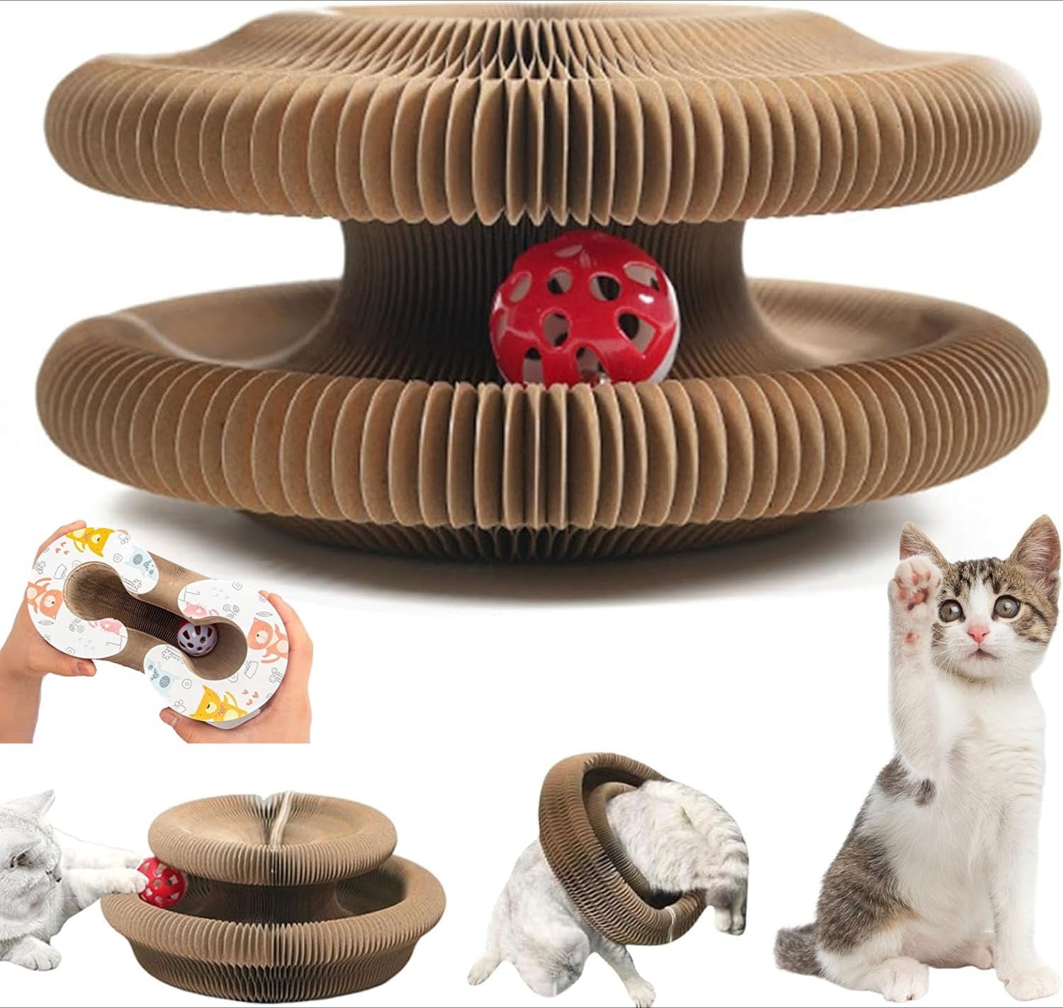 Kitty Curlz Cat Scratching Board, Magic Organ Cat Toy, Made of ...