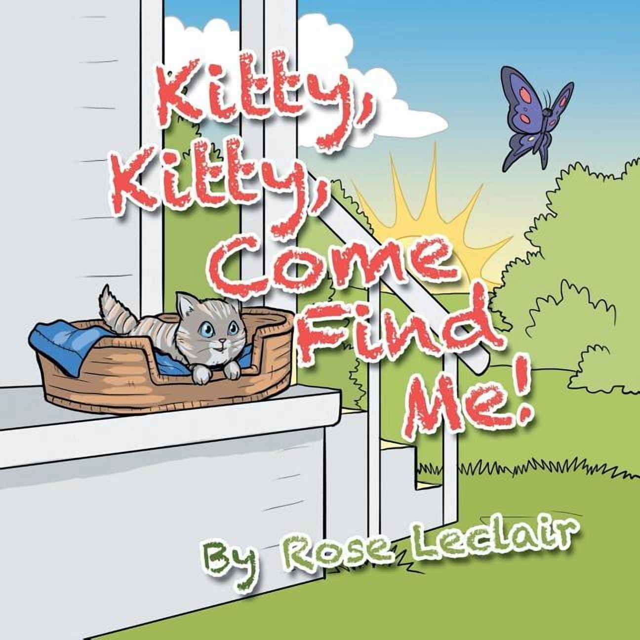 Kitty, Kitty, Come Find Me! - Walmart.com