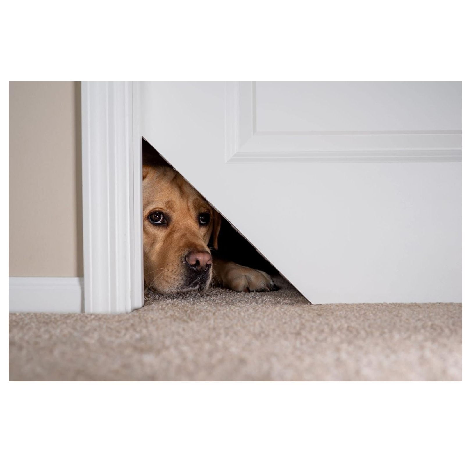 Kitty Korner Cat Door (Righthand Kit) Patented Kitty Korner Slidelock ...