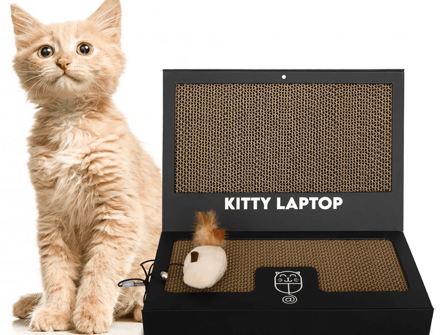 Kitty Laptop - Cat Scratchboard Laptop Toy with Interactive Plush Mouse ...