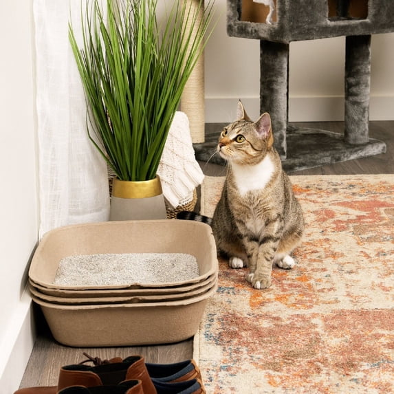 Kitty Sift Eco-Friendly, Biodegradable & Recyclable Indoor Cat Litter ...