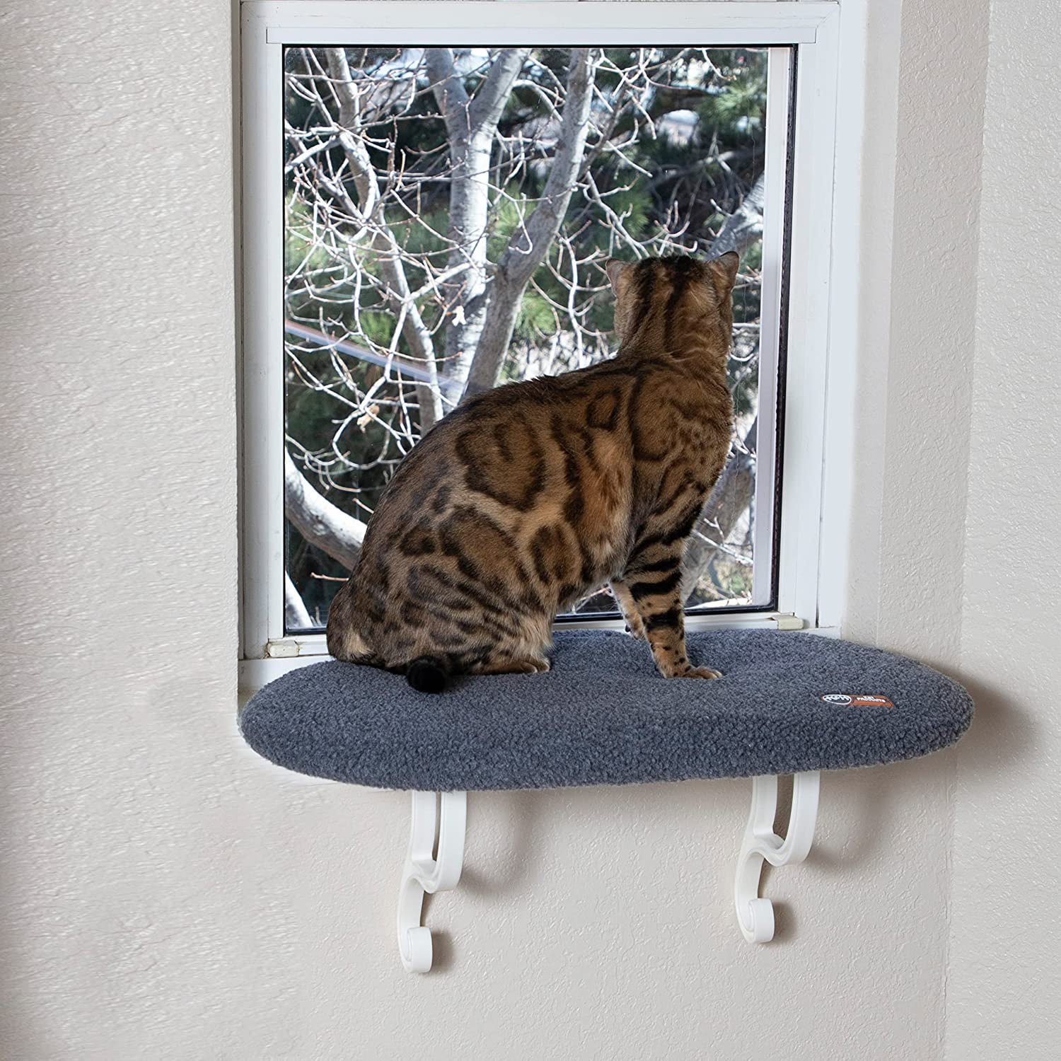 Kitty Sill Cat Window Perch for Large Cats, Orthopedic Window Hammock ...