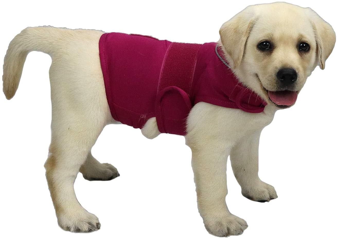 KittyStar Dog Anxiety Vest Jacket Warp,Puppy Calming Coat Anxiety ...
