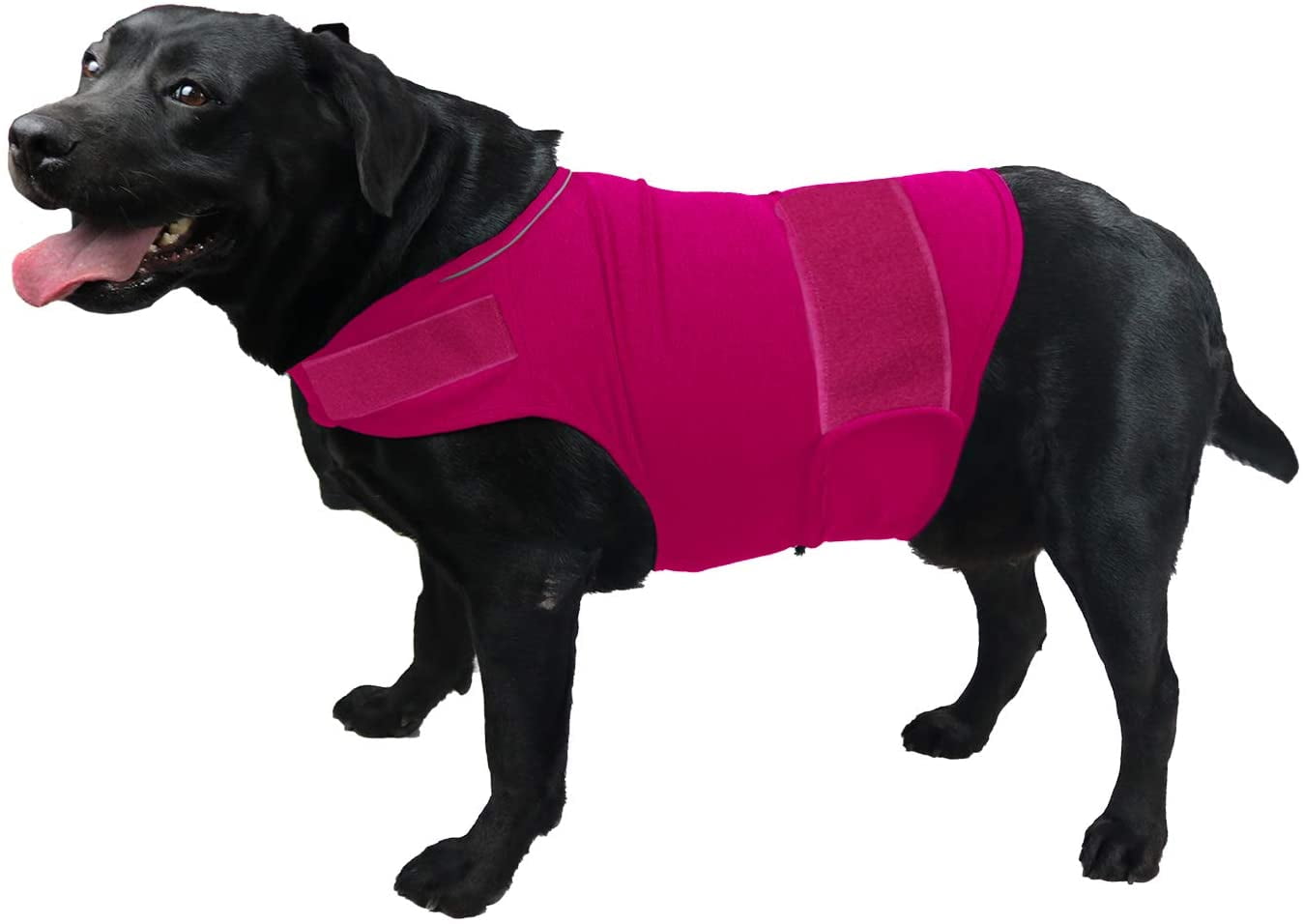 KittyStar Dog Anxiety Vest Jacket Warp,Puppy Calming Coat Anxiety ...