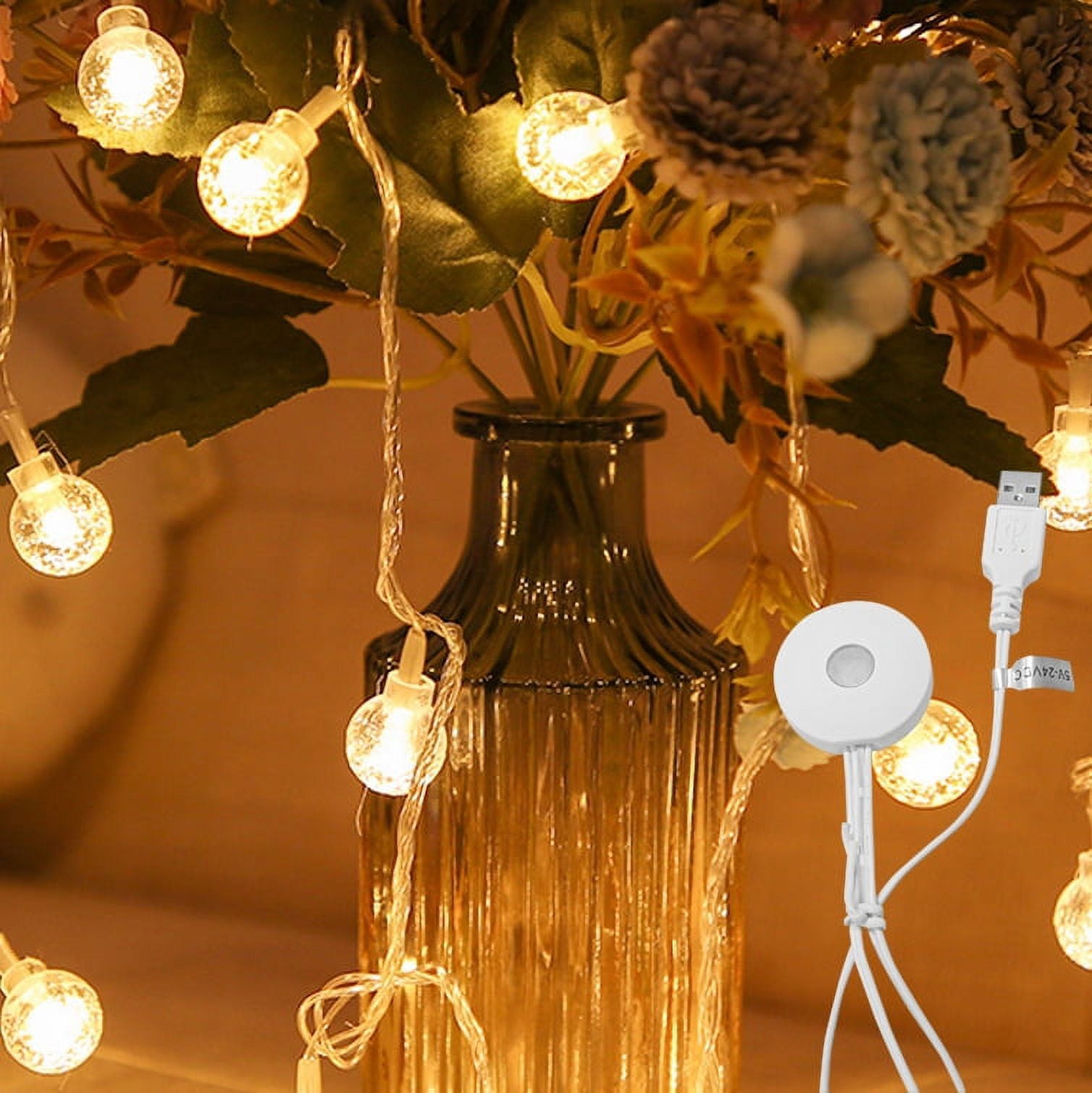 Kiven Globe Led String Lights,LED Curtain String Lights, String Lights ...