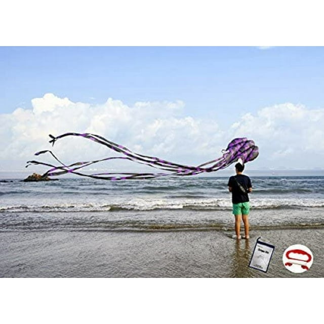 Kizh Large Octopus Kite, Frameless Parafoil, 157in Long Tail, Easy to ...