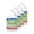 Klean-Strip Green Muriatic Acid, 1 Gallon - Walmart.com