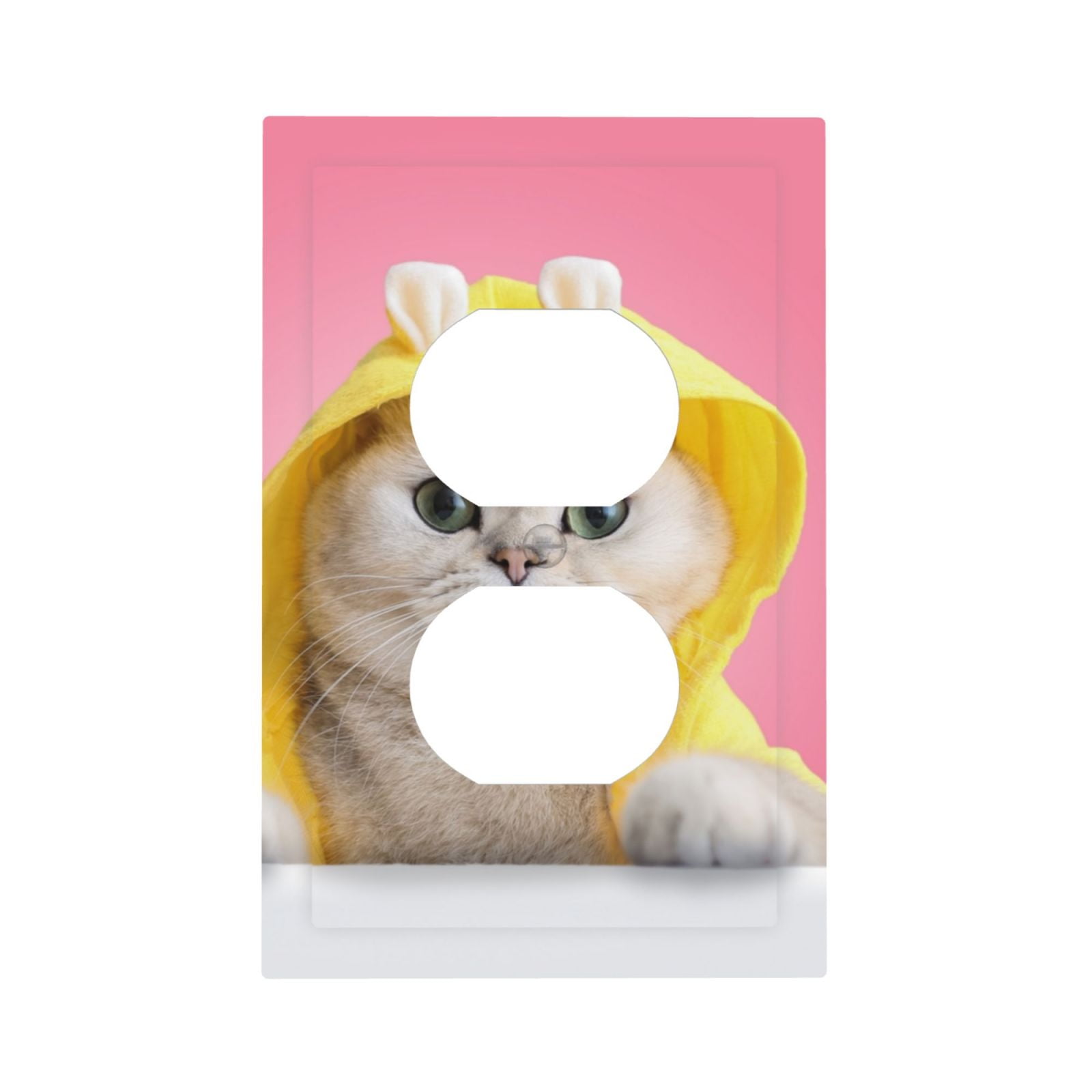 Kll A Funny Cat Wall Plate,Gloss Finish,Standard Size 1 - 5" X 3 ...