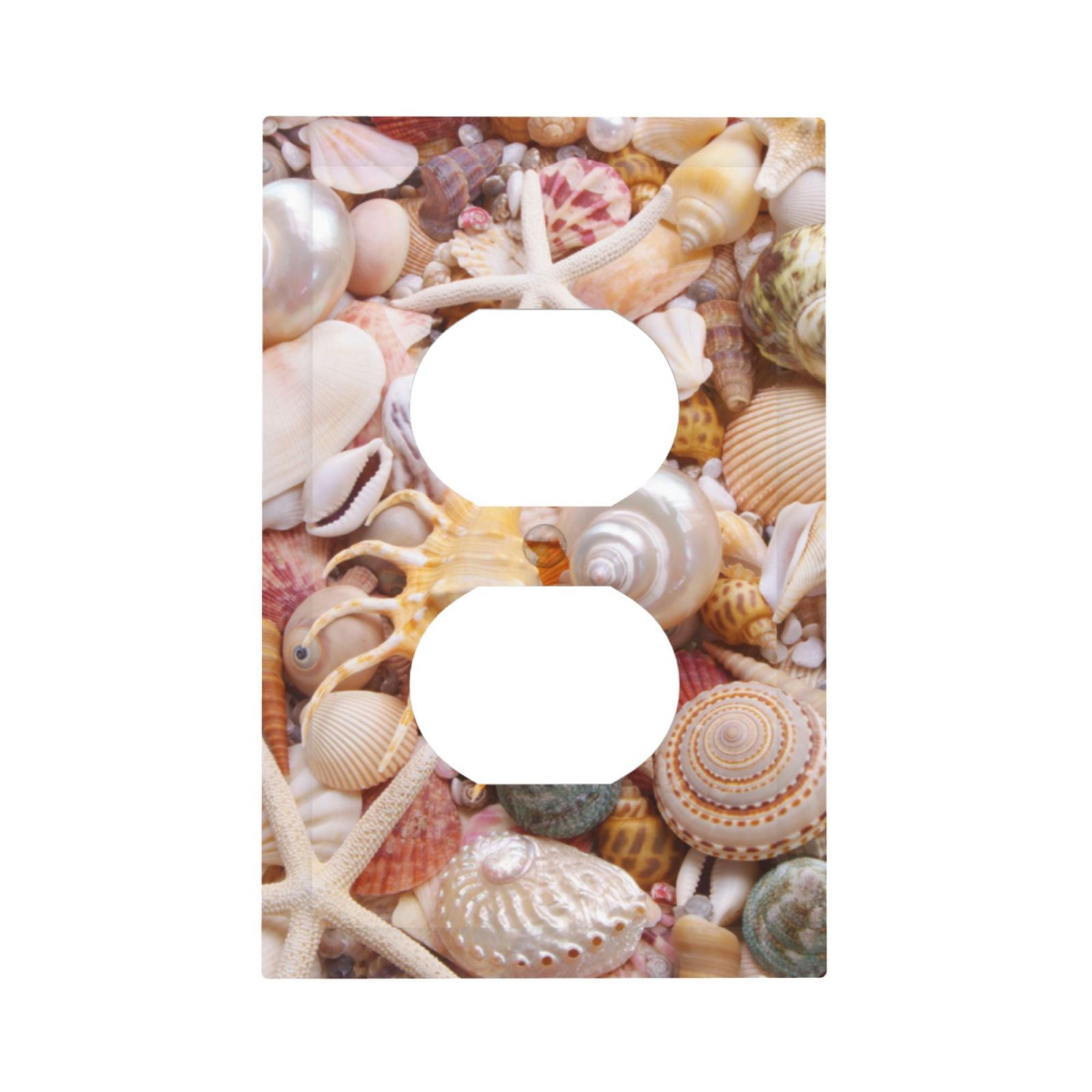Kll Colorful Seashells Wall Plate,Gloss Finish,Standard Size 1 - 5" X 3 ...