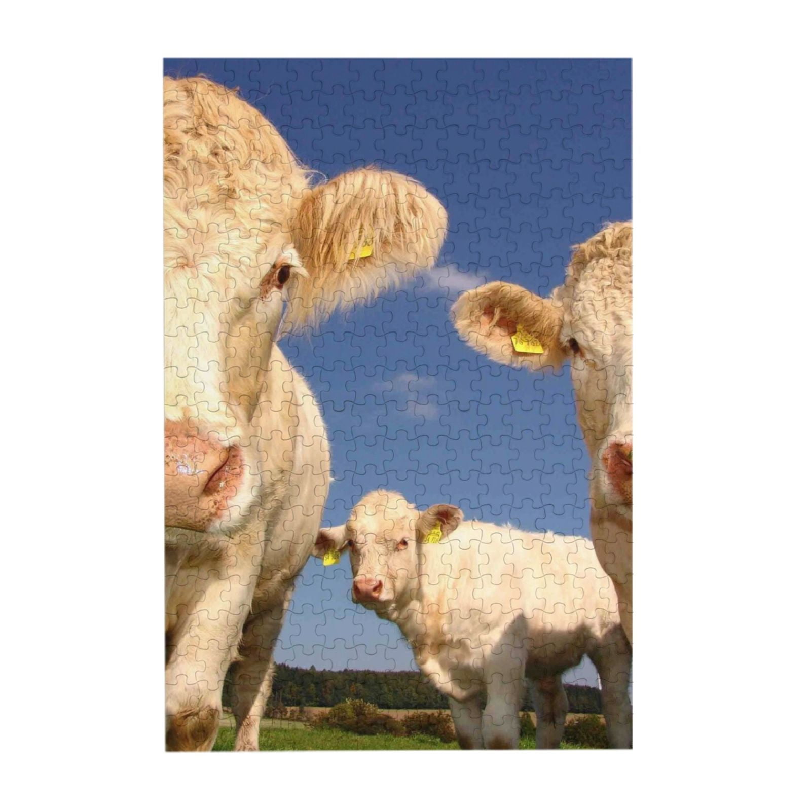 Kll Cows Cattles - 300 Piece Jigsaw Puzzle For Adult And Teenagers ...