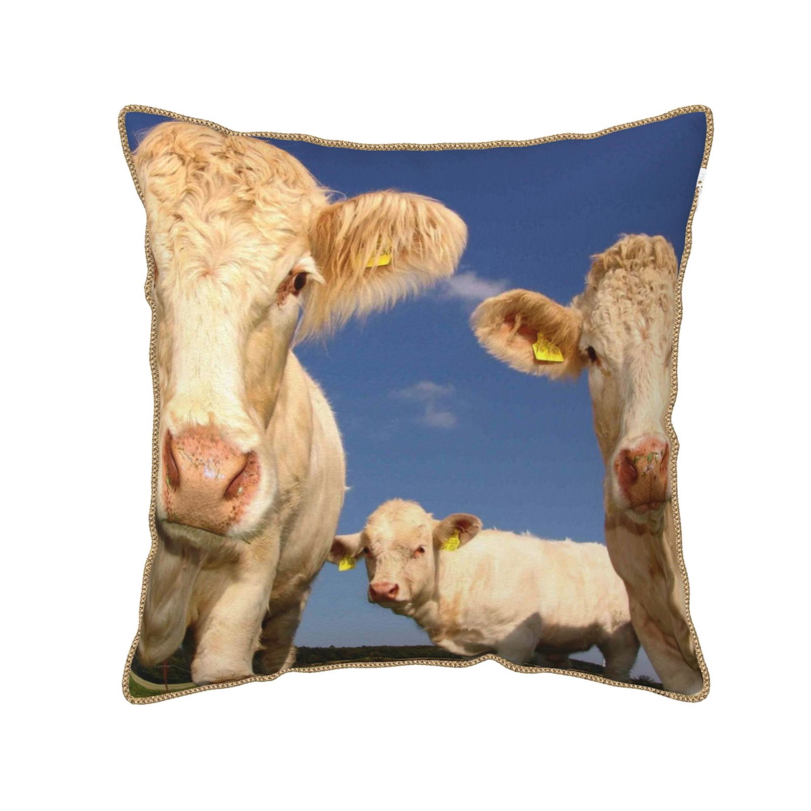 Kll Cows Cattles Decorative Throw Pillow Covers Velvet Soft For Couch ...