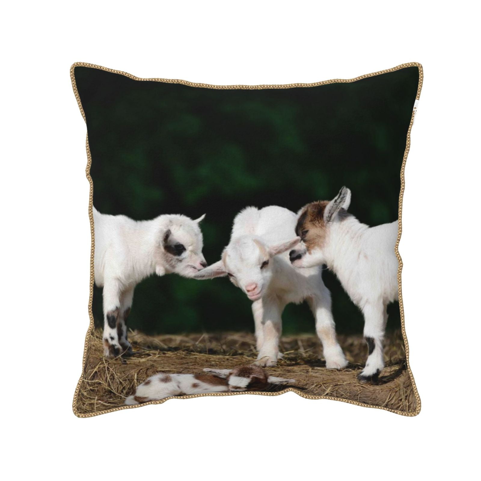 Kll Cute Goat Baby Decorative Throw Pillow Covers Velvet Soft For Couch ...