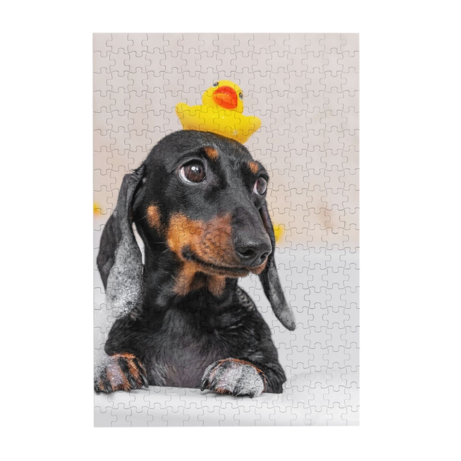 Kll Dachshund Sitting In Bathtub - 300 Piece Jigsaw Puzzle For Adult ...