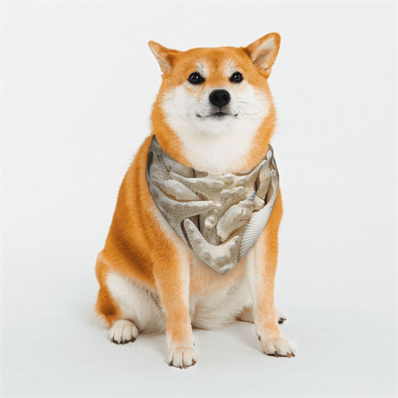 Kll Starfish And Sea Shells Dog Bandanas,Triangle Reversible Pet Scarf ...
