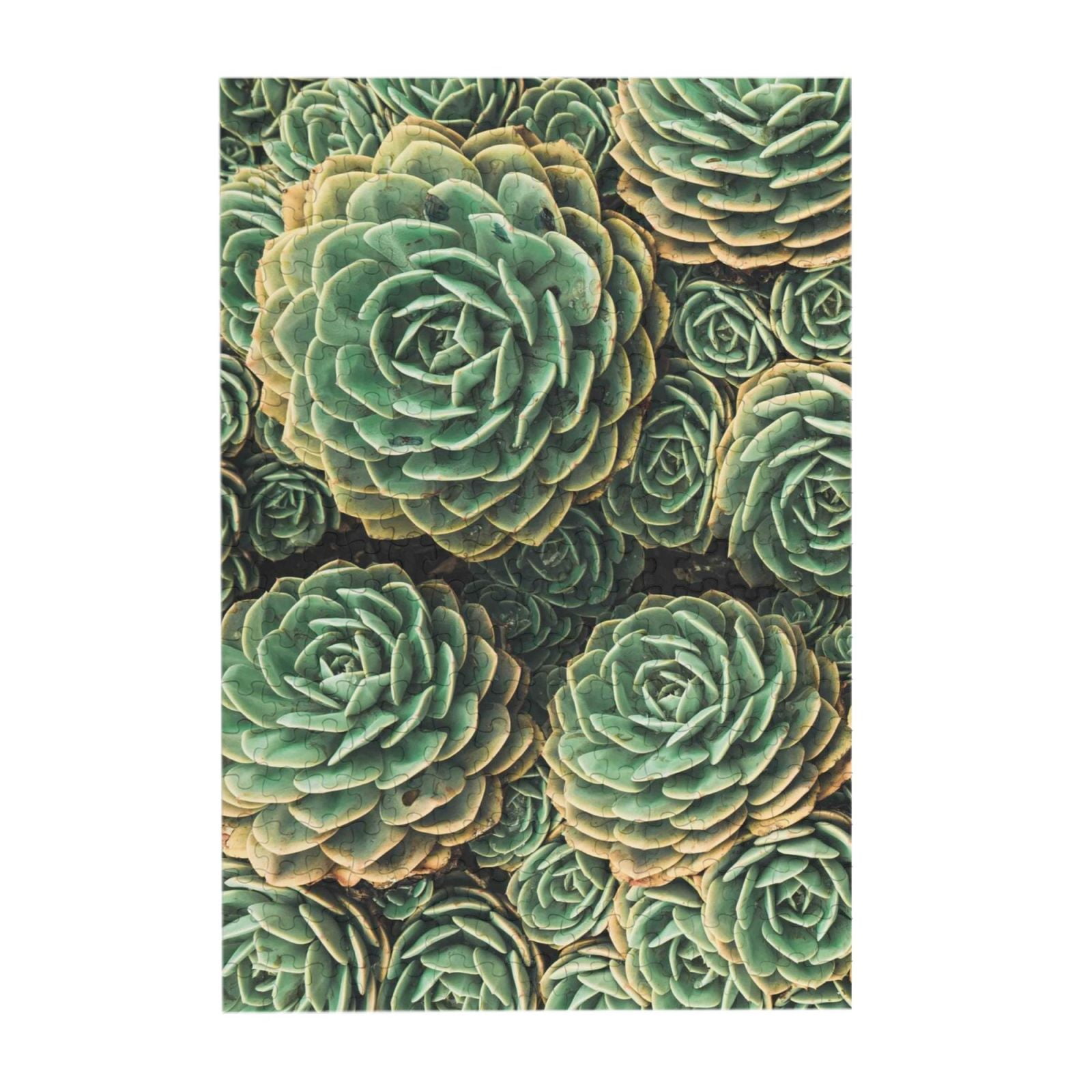 Kll Succulents - 300 Piece Jigsaw Puzzle For Adult And Teenagers Family ...