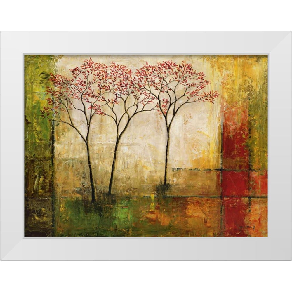 Klung, Mike 14x12 White Modern Wood Framed Museum Art Print Titled - Morning Luster II - Walmart.com