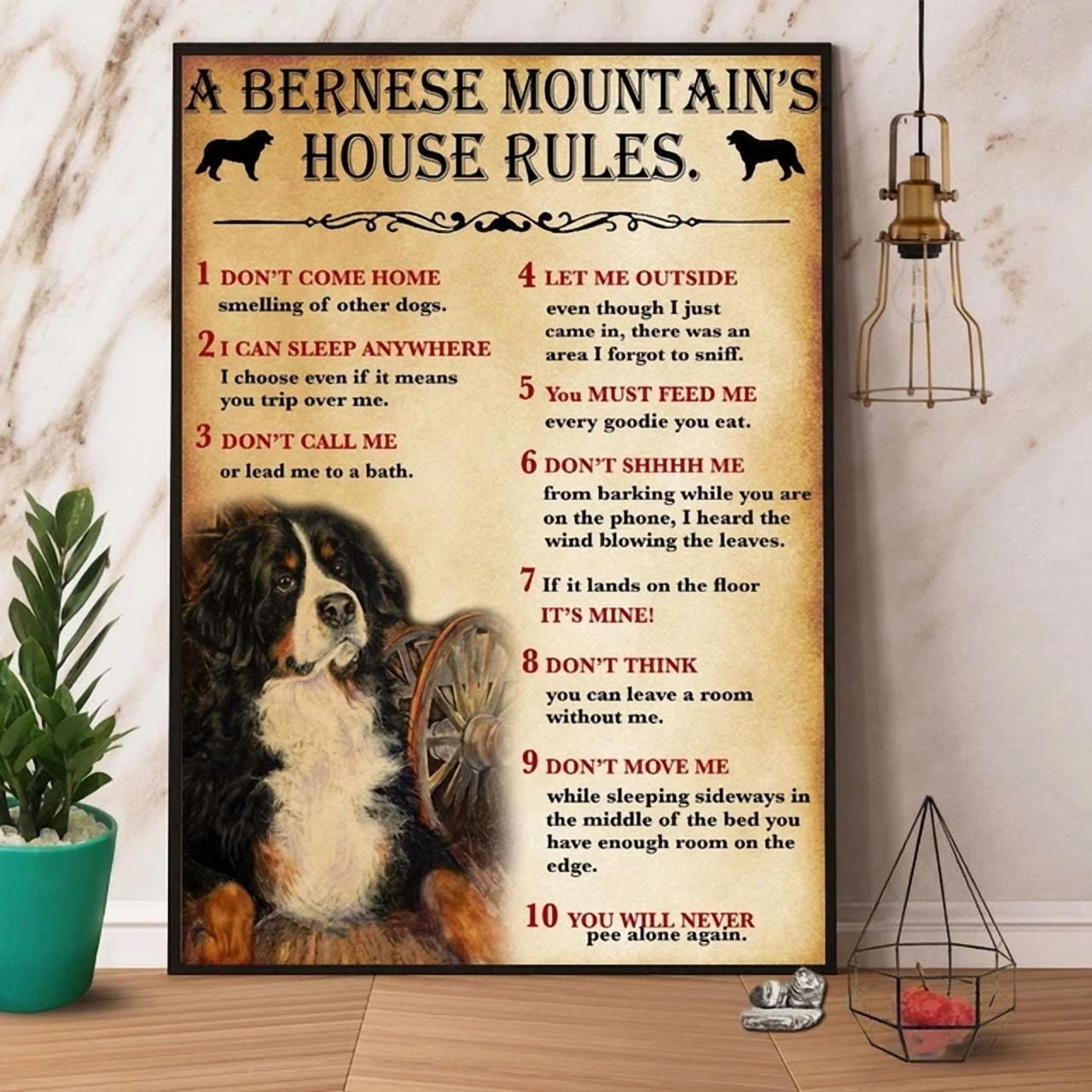 Kna Prints - 1 Pc Poster A Bernese Mountain'S House Rules, UNFRAMED ...